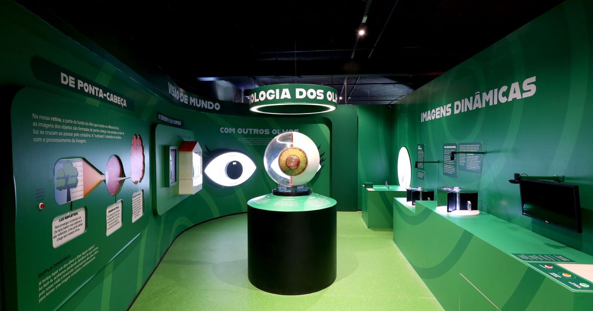 Dia das Crianças: 12 museus em SP com programação especial | CNN Brasil V&G