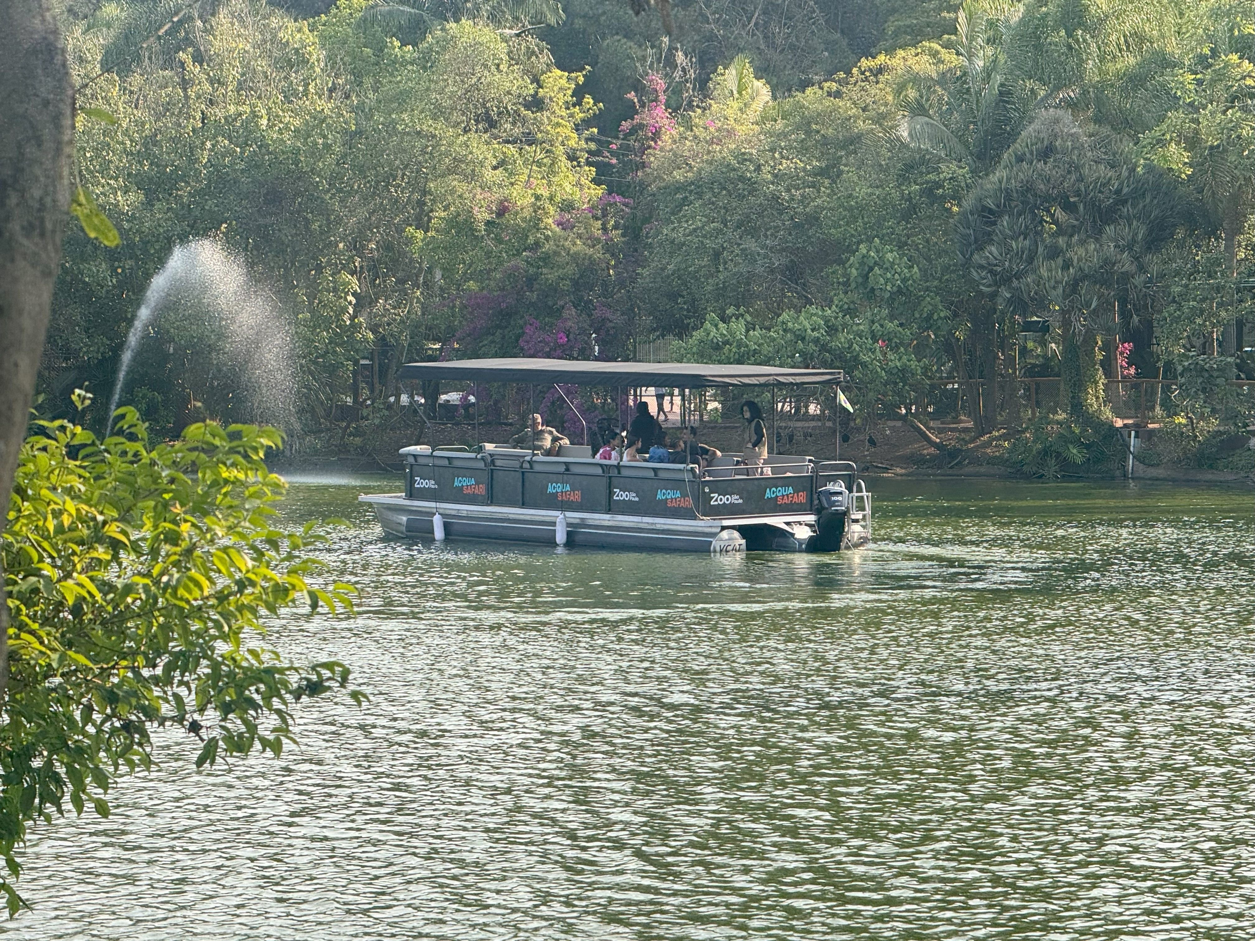 Zoo de SP inaugura passeio de barco em lago vizinho à área dos primatas ...