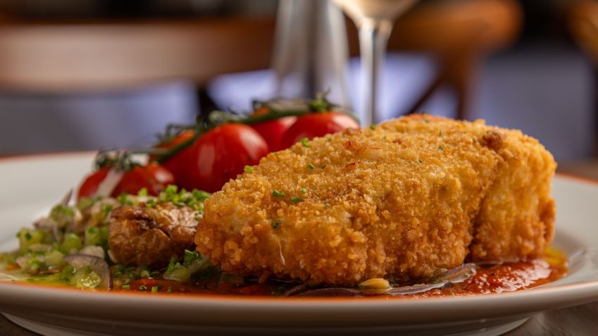 CNN Brasil | Notícias Ao Vivo do Brasil e do Mundo