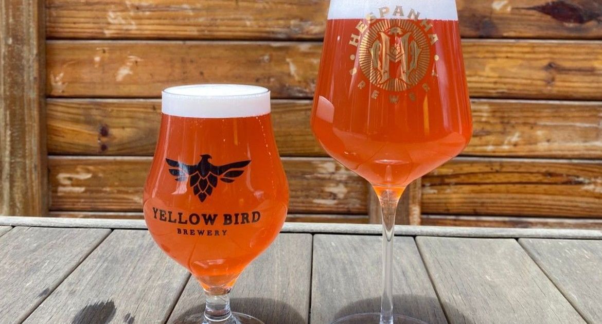 Melhor cerveja do Brasil é do Paraná e tem polpa de amora e morango ...